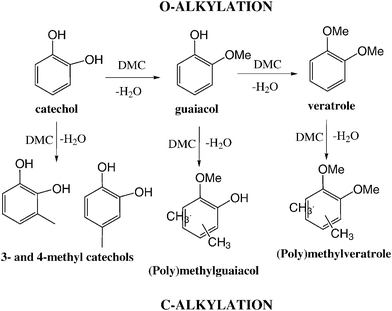 Catechol O-methylation with dimethyl carbonate over different acid–base ...