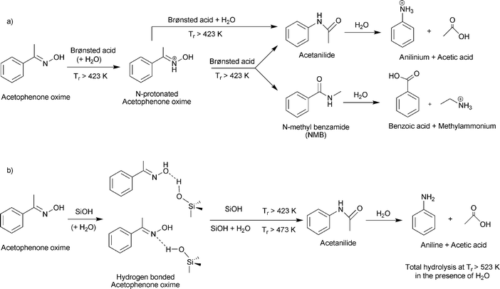 Study of the Beckmann rearrangement of acetophenone oxime over porous ...