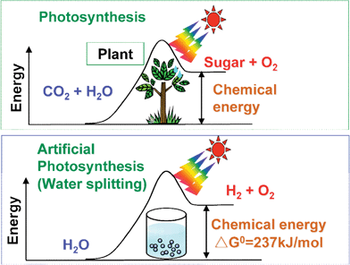 Heterogeneous photocatalyst materials for water splitting - Chemical ...
