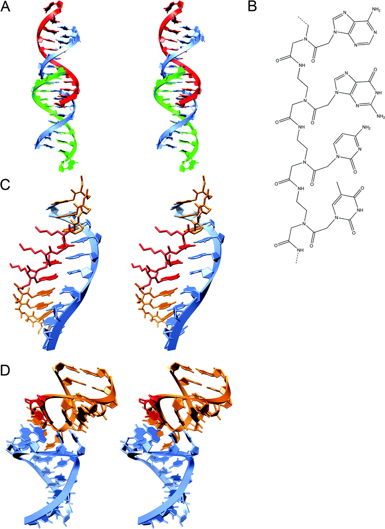 Examples Of Nucleic Acids In Food