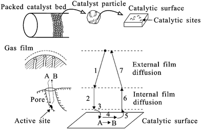 The critical role of heterogeneous catalysis in lignocellulosic biomass ...
