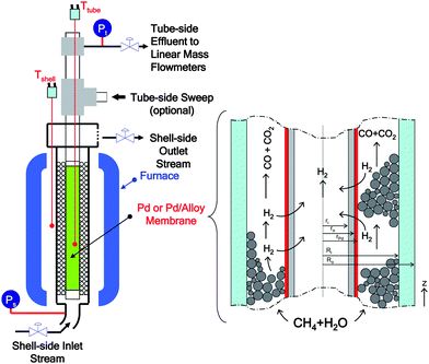 Modeling and performance assessment of Pd- and Pd/Au-based catalytic ...
