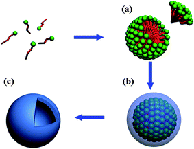 What is the mechanism of formation of hollow spheres mesoporous silica ...