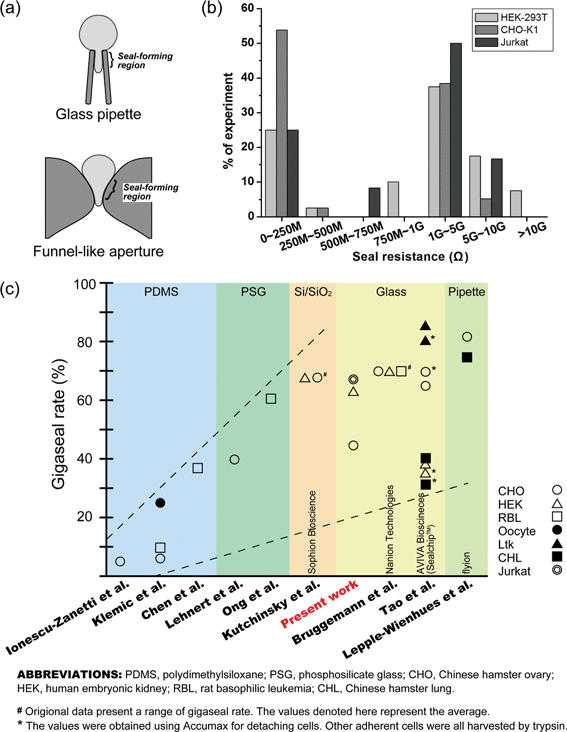 Fire Polishing Patch Pipettes free download programs