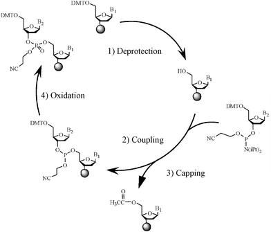 Advancing high-throughput gene synthesis technology - Molecular ...