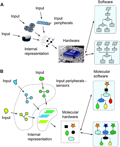Biocomputers: from test tubes to live cells - Molecular BioSystems (RSC ...