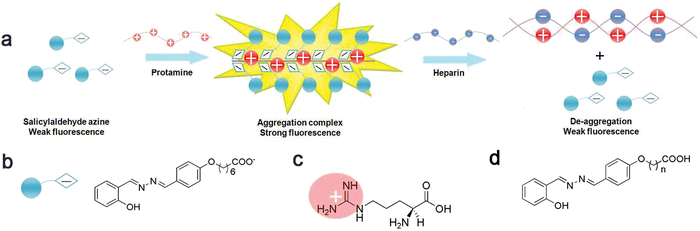 Fluorescence turn-on detection of protamine based on aggregation ...