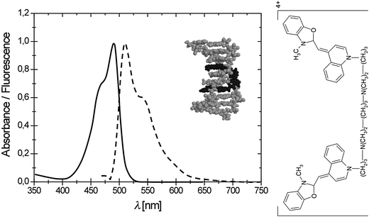 Do intercalating dyes bind differently to A-form and b-Form DNA? : r ...