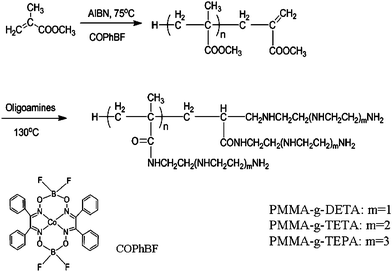 Poly(methyl methacrylate)-graft-oligoamines as low cytotoxic and ...