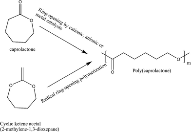 Chemistry, chances and limitations of the radical ring-opening ...