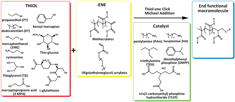 Investigation into thiol-(meth)acrylate Michael addition reactions ...