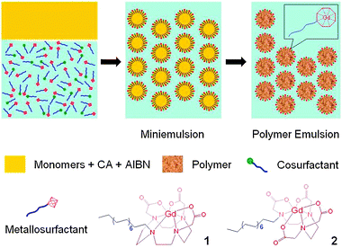 High-relaxivity MRI contrast agents prepared from miniemulsion ...