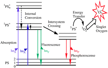 The role of porphyrin chemistry in tumor imaging and photodynamic ...