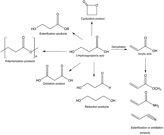 3 Hydroxypropionic acid - Alchetron, the free social encyclopedia