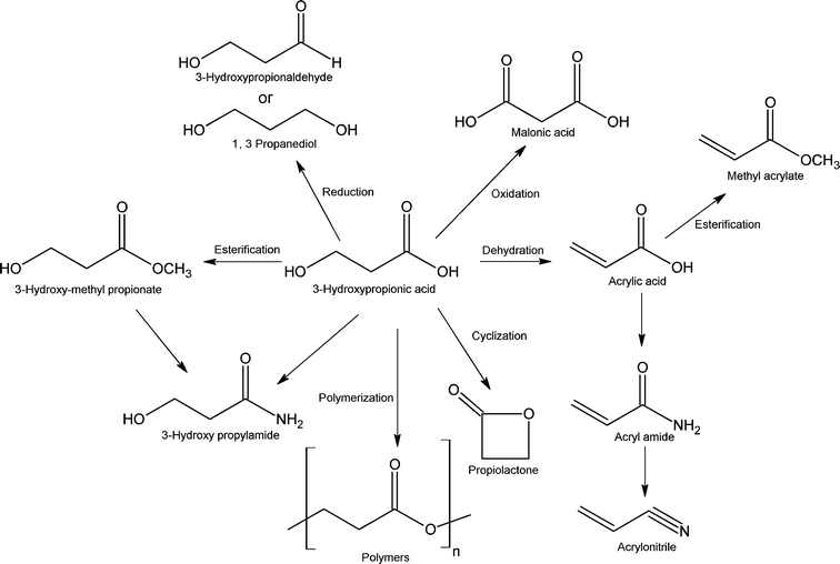 3 Hydroxypropionic acid - Alchetron, the free social encyclopedia