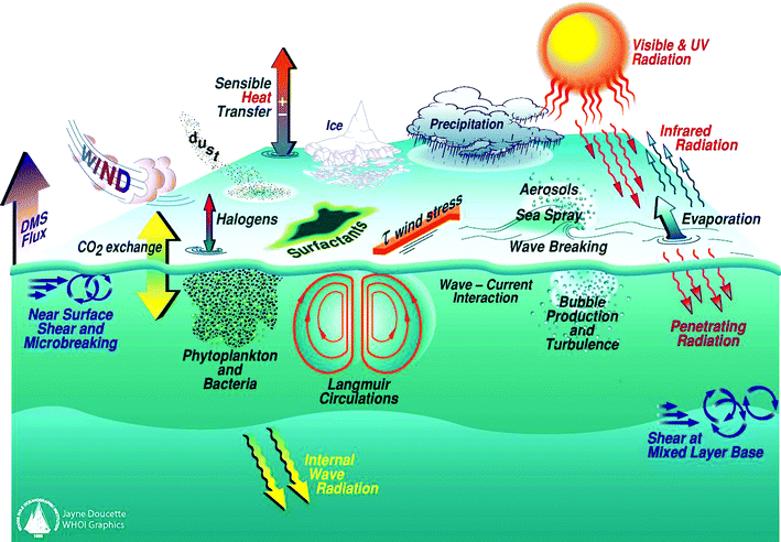 Questions and answers about the environmental effects of ozone ...
