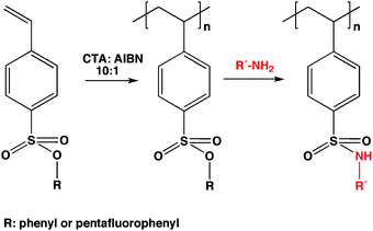 Polymerization of an activated ester monomer based on 4-vinylsulfonic ...