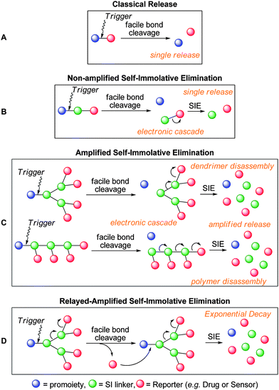 Self-immolative linkers in polymeric delivery systems - Polymer ...