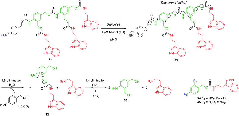 Self-immolative linkers in polymeric delivery systems - Polymer ...