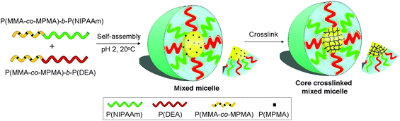 Construction of mixed micelle with cross-linked core and dual ...