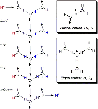 Gas-phase H/D-exchange reactions on resorcinarene and pyrogallarene ...