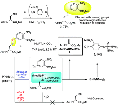 Methods for converting cysteine to dehydroalanine on peptides and ...
