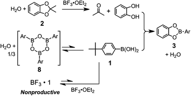 A mechanistic study of Lewis acid-catalyzed covalent organic framework ...