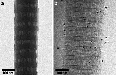 Cryo-electron tomography: 3-dimensional imaging of soft matter - Soft ...