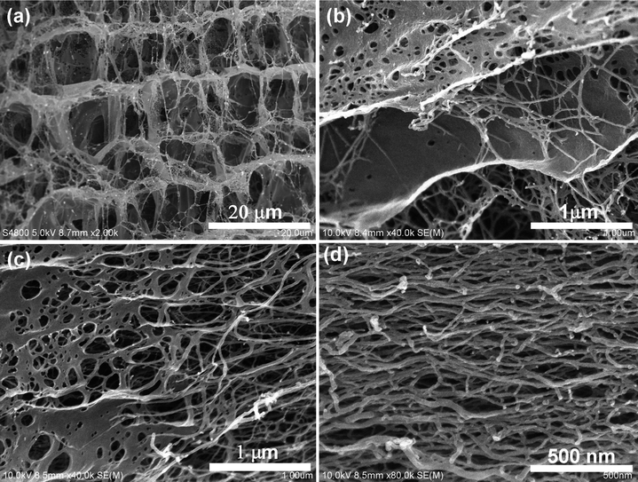 Jellyfish gel and its hybrid hydrogels with high mechanical strength ...