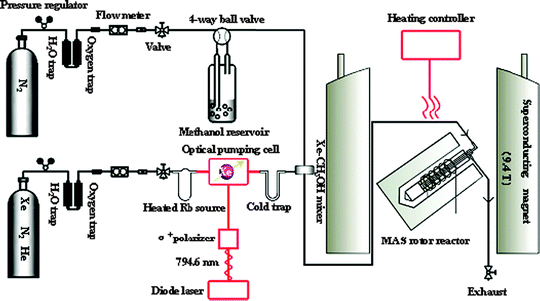 In situ solid-state NMR for heterogeneous catalysis: a joint ...