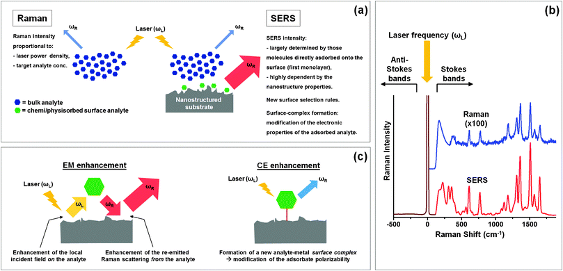 Surface enhanced Raman spectroscopy - Alchetron, the free social ...