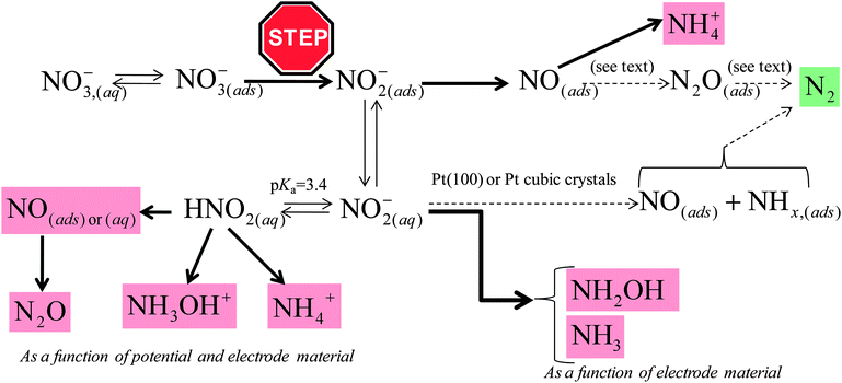 Powering denitrification: the perspectives of electrocatalytic nitrate ...