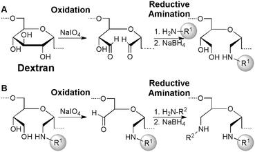 Bimolecular integrin– ligand interactions quantified using peptide ...