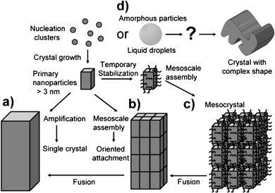 Bio-inspired synthesis: understanding and exploitation of the crystallization process from ...