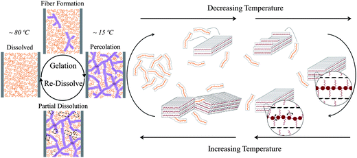 Organogels - Alchetron, The Free Social Encyclopedia