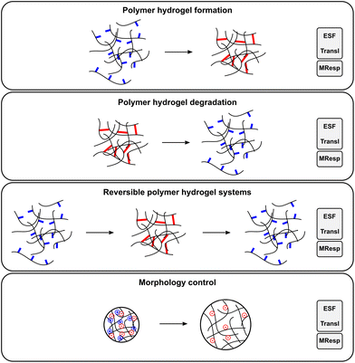 Enzyme responsive materials: design strategies and future developments - Biomaterials Science ...