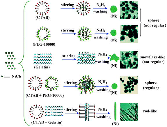 Modifiers-assisted formation of nickel nanoparticles and their ...