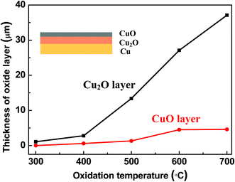 Vapor-phase crystallization route to oxidized Cu foils in air as anode ...