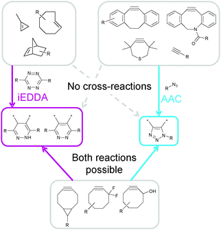Inverse electron demand Diels–Alder (iEDDA)-initiated conjugation: a ...