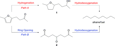 Functional group dependence of the acid catalyzed ring opening of ...