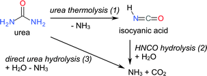 Catalytic urea hydrolysis in the selective catalytic reduction of NO x ...