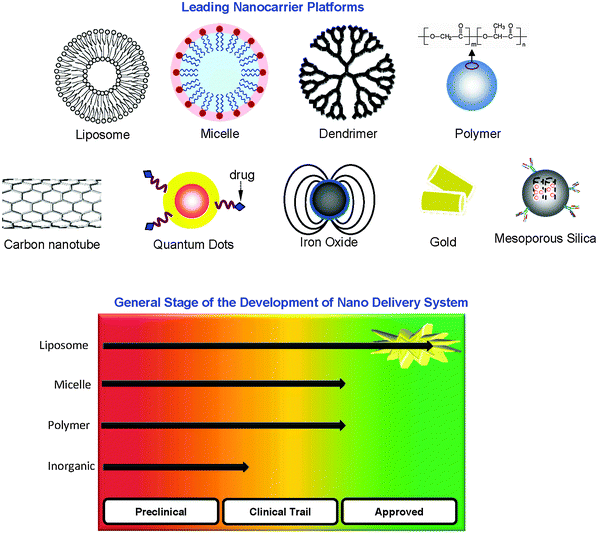 Mesoporous silica nanoparticles : A multifunctional nano therapeutic ...