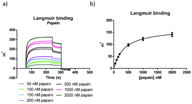 Site-specific peptide and protein immobilization on surface plasmon ...