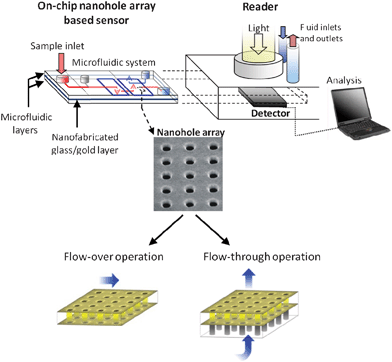 On-chip nanohole array based sensing: a review - Lab on a Chip (RSC Publishing) DOI:10.1039 ...