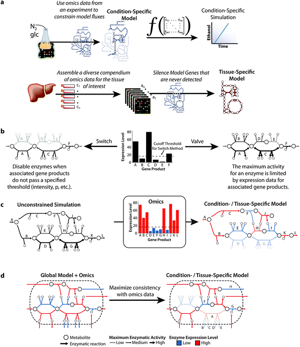Analysis of omics data with genome-scale models of metabolism ...