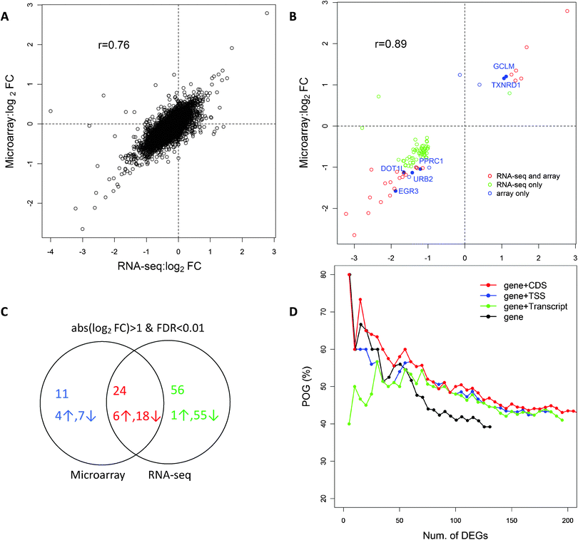 RNA-seq data analysis at the gene and CDS levels provides a comprehensive view of transcriptome ...