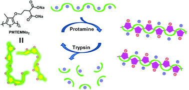 Colorimetric and fluorescent detection of protamines with an anionic ...