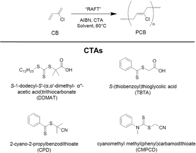 Reversible addition–fragmentation chain transfer polymerization of 2 ...