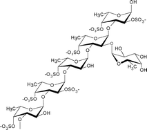 Fucoidans from brown seaweeds: an update on structures, extraction ...