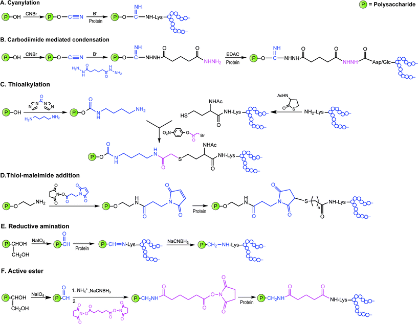 synthetically,extracellular,domestically(第12页)_大山谷图库